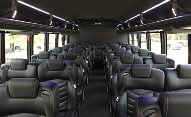 Mini Coach Buses | Punctual Express - Comfortable Group Transportation